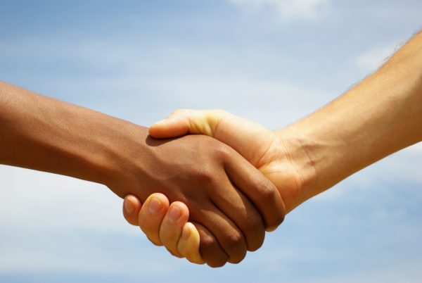 Training Deep Democracy; the Lewis method level 1 - SBI Formaat