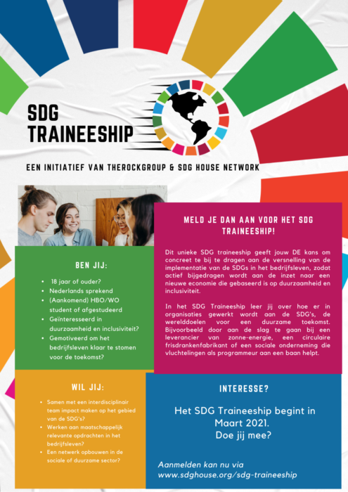 SDG Traineeship - De nieuwe manier van impact maken - SBI Formaat