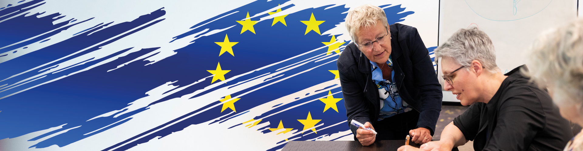 European Works Council (EWC) - European Works Councils - SBI Formaat